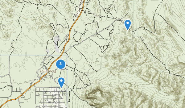 Best Wild Flowers Trails in Lost Dutchman State Park | AllTrails.com