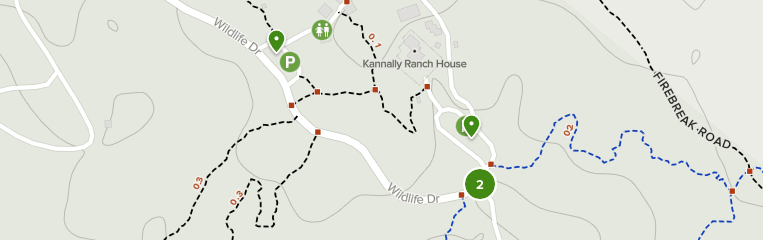 Best Walking Trails in Oracle State Park | AllTrails