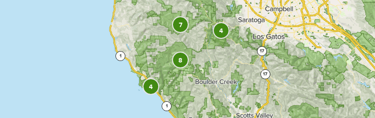 Best 10 Kid Friendly Trails in Big Basin Redwoods State Park | AllTrails