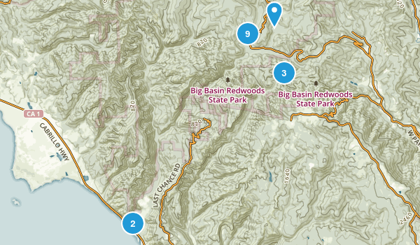 Best Trail Running Trails in Big Basin Redwoods State Park | 880 Photos ...