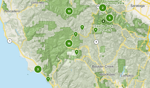 Best Walking Trails in Big Basin Redwoods State Park | AllTrails