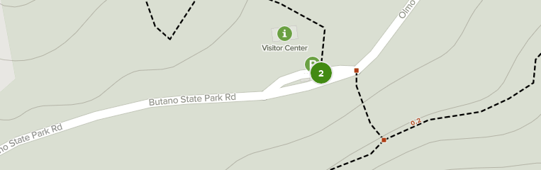 Best Camping Trails in Butano State Park | AllTrails