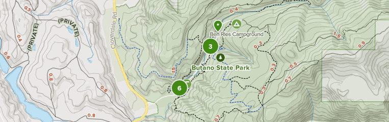 2023 Best 10 Walking Trails in Butano State Park | AllTrails