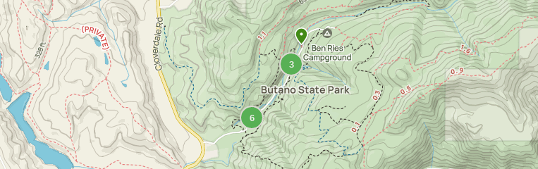2023 Best 10 Walking Trails in Butano State Park | AllTrails