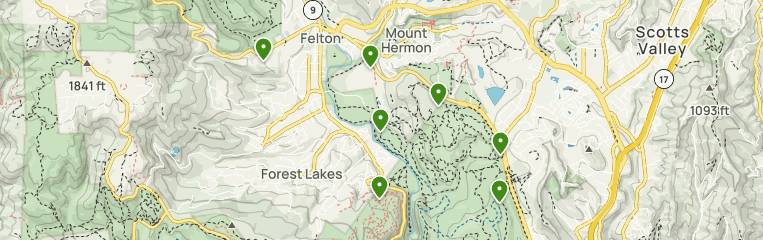 2023 Best Easy Trails in Henry Cowell Redwoods State Park | AllTrails