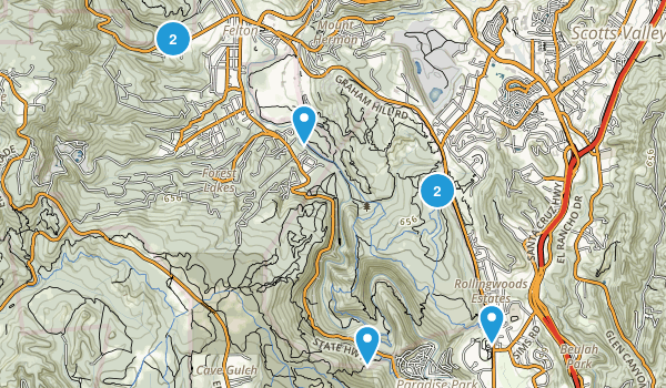 Best Horseback Riding Trails in Henry Cowell Redwoods State Park | 351 ...