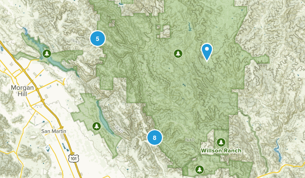 Best Backpacking Trails in Henry W. Coe State Park, California | AllTrails