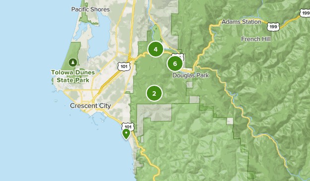 Best Walking Trails in Jedediah Smith Redwood State Park | AllTrails