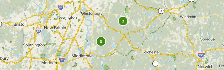 Best Bird Watching Trails in Meshomasic State Forest | AllTrails