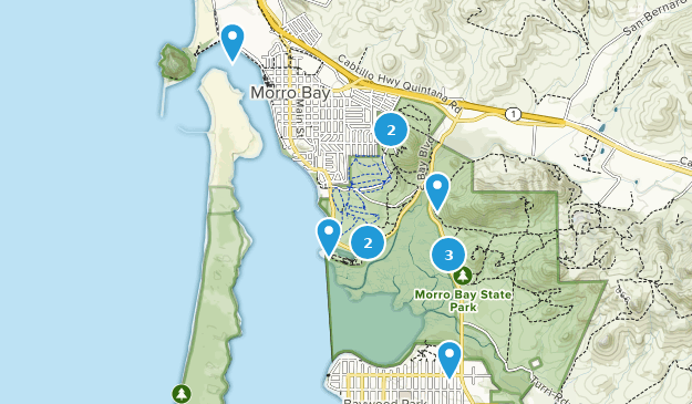 Best Kid Friendly Trails in Morro Bay State Park | AllTrails