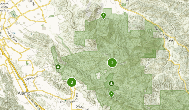 Best Camping Trails in Mount Diablo State Park | AllTrails