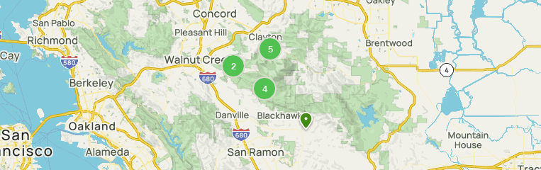 2023 Best Forest Trails in Mount Diablo State Park | AllTrails