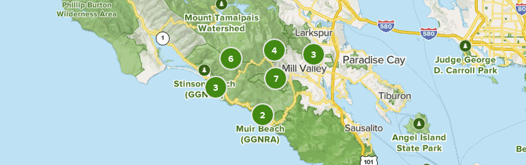 Best 10 Easy Trails in Mount Tamalpais State Park | AllTrails