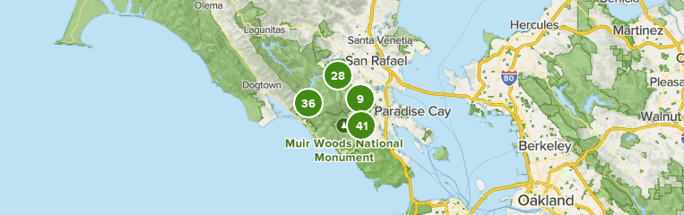 Best 10 Long Trails in Mount Tamalpais State Park | AllTrails