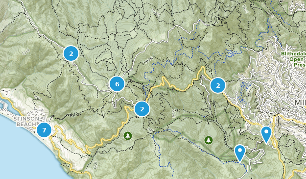 Best Waterfall Trails in Mount Tamalpais State Park | AllTrails
