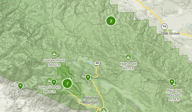 Best Forest Trails in Palomar Mountain State Park | AllTrails