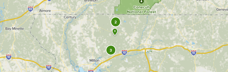 Best Forest Trails in Blackwater River State Park | AllTrails