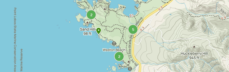 2023 Best 10 Kid Friendly Trails in Point Lobos State Natural Reserve ...
