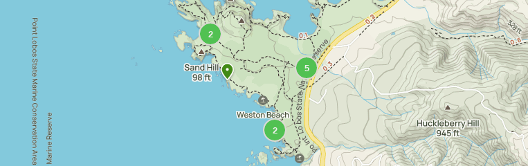 2023 Best 10 Kid Friendly Trails in Point Lobos State Natural Reserve ...