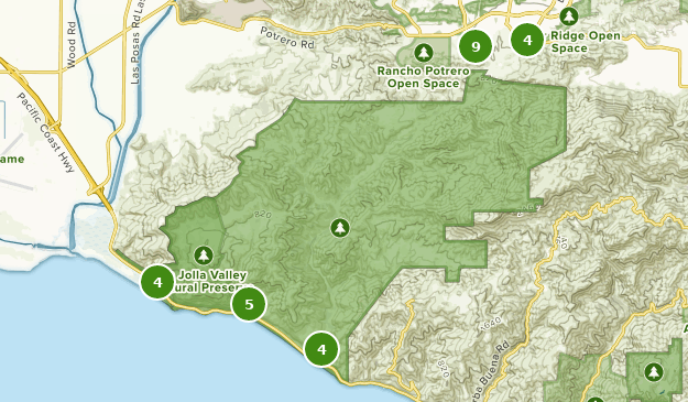 Best Wild Flowers Trails in Point Mugu State Park | AllTrails
