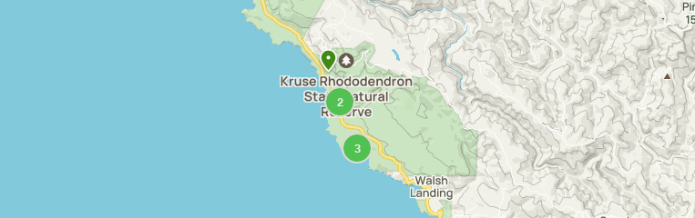 Best Easy Trails in Salt Point State Park | AllTrails