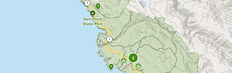 Las 19 mejores rutas en el bosque en Salt Point State Park | AllTrails