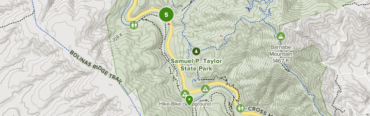 I migliori sentieri per la flora selvatica in Samuel P. Taylor State ...