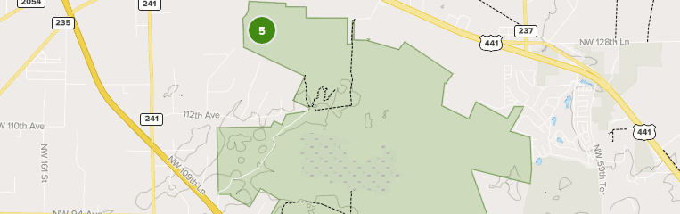 Best Mountain Biking Trails in San Felasco Hammock Preserve State Park ...