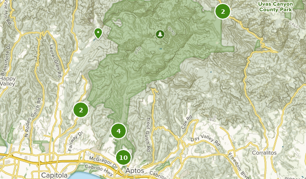 Best Running Trails in The Forest of Nisene Marks State Park | AllTrails