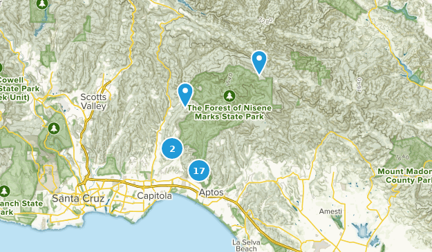 Best Walking Trails in The Forest of Nisene Marks State Park | AllTrails