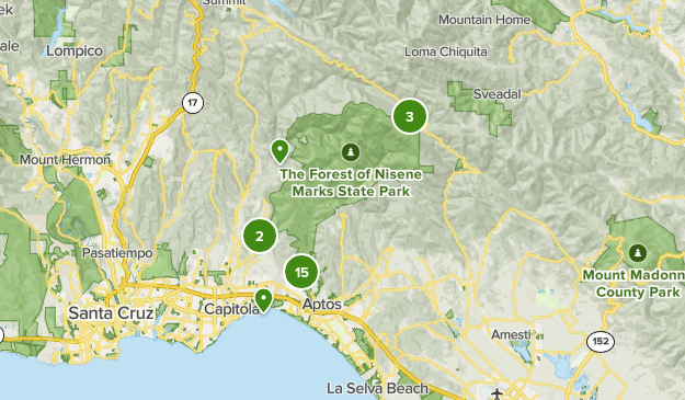 Best Walking Trails in The Forest of Nisene Marks State Park | AllTrails