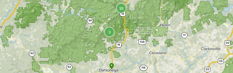 2023 Best Trail Running Trails in Vogel State Park | AllTrails