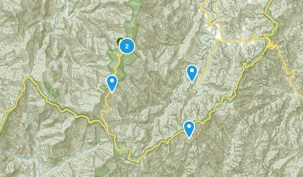Best Kid Friendly Trails in Mount Mitchell State Park | AllTrails