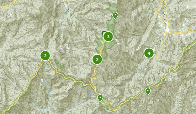 Best Walking Trails in Mount Mitchell State Park | AllTrails