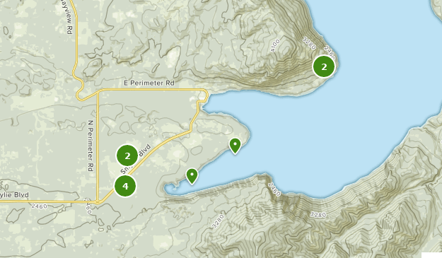 Best Forest Trails in Farragut State Park | AllTrails