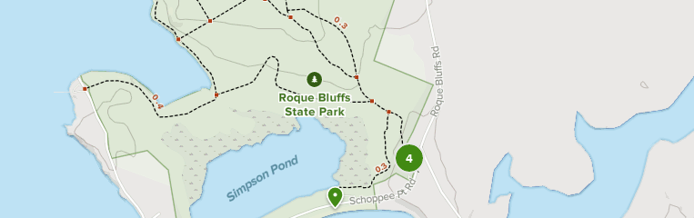 Best Easy Trails in Roque Bluffs State Park | AllTrails