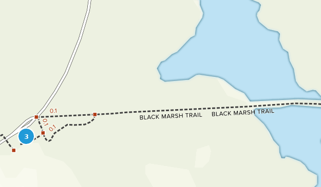 Best Walking Trails in North Point State Park | AllTrails