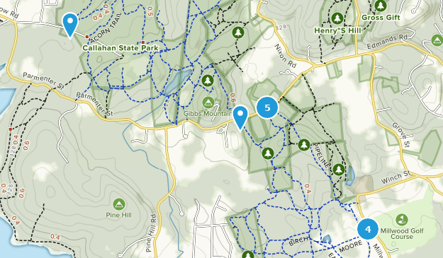 Best Trail Running Trails in Callahan State Park | AllTrails