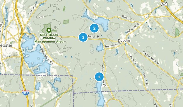 Best Hiking Trails in Douglas State Forest | AllTrails