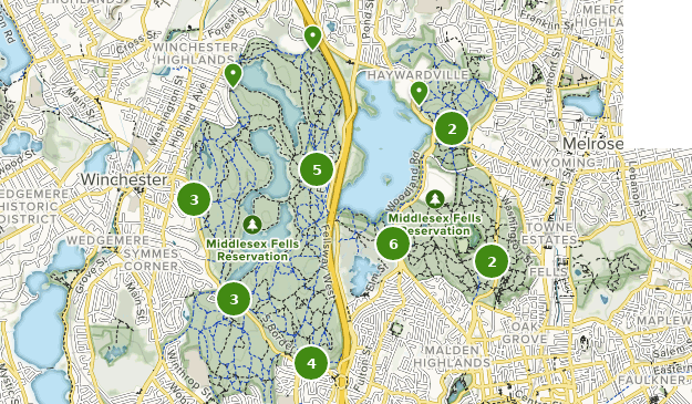 Best Forest Trails in Middlesex Fells Reservation | AllTrails