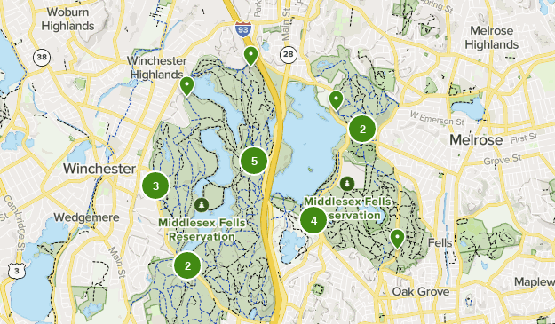 Best Kid Friendly Trails in Middlesex Fells Reservation | AllTrails