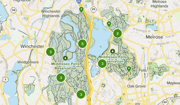 Best Running Trails in Middlesex Fells Reservation | AllTrails