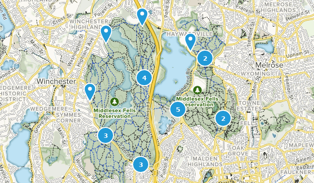 Best Walking Trails in Middlesex Fells Reservation | AllTrails