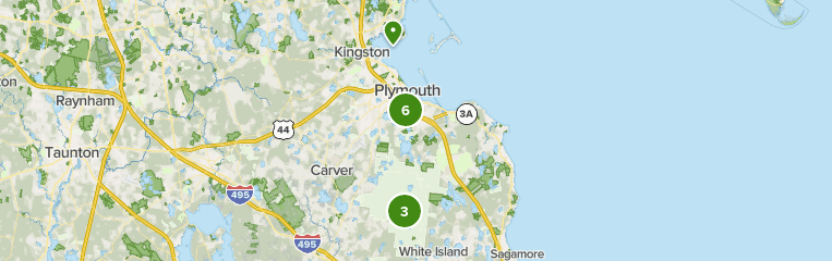 2023 Best Bird Watching Trails in Myles Standish State Forest | AllTrails