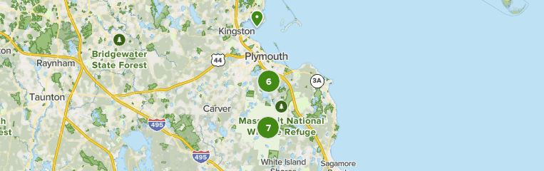 Best Forest Trails in Myles Standish State Forest | AllTrails