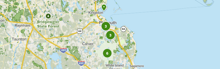 2023 Best Kid Friendly Trails in Myles Standish State Forest | AllTrails