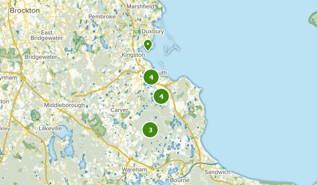 Best Walking Trails in Myles Standish State Forest | AllTrails