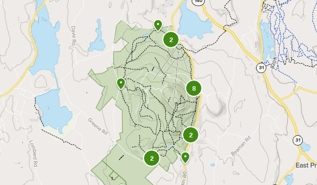 Best Forest Trails in Wachusett Mountain State Reservation | AllTrails