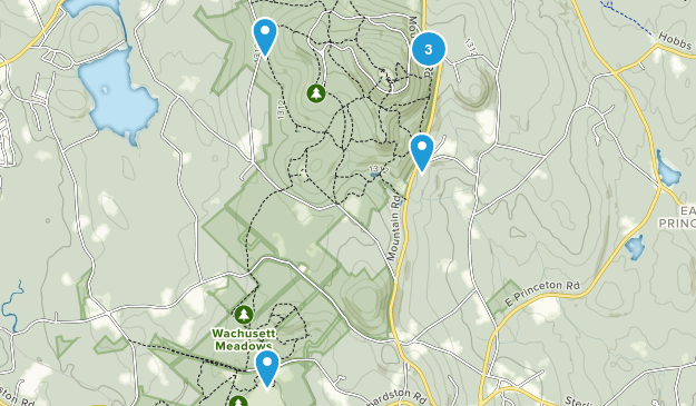 Best Kid Friendly Trails in Wachusett Mountain State Reservation ...