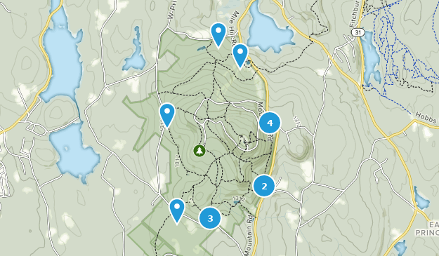 Best Walking Trails in Wachusett Mountain State Reservation | AllTrails
